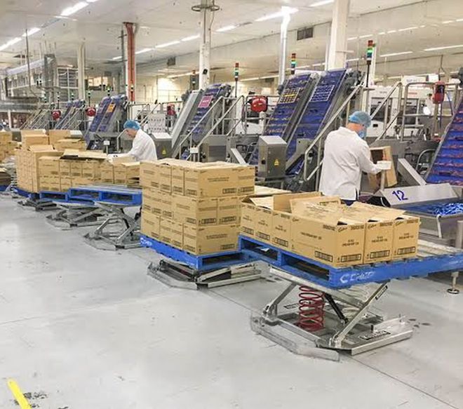 COPACK Spring Actuated Pallet Leveller 1100mm Ø Platform