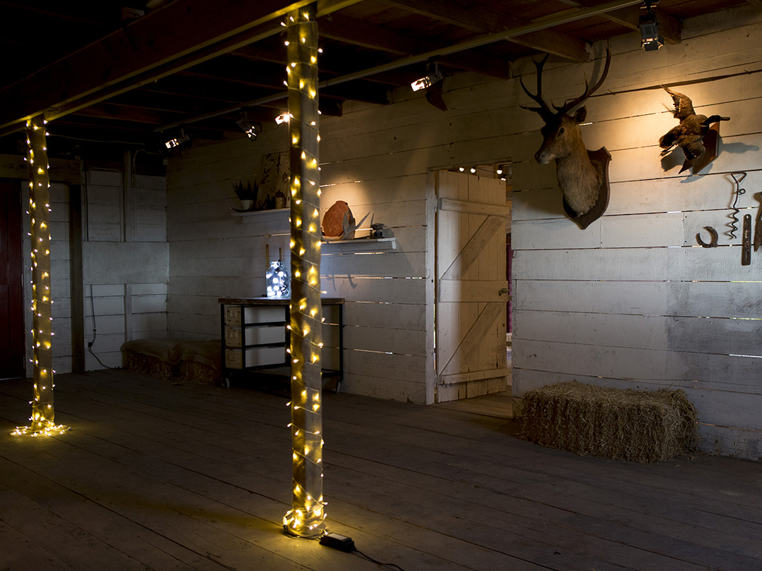 LED Warm Fairy Lights (10m) - Festival Hire