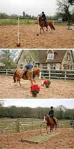 Le Trec OverviewAbderry Equine Services