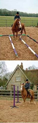 Le Trec OverviewAbderry Equine Services