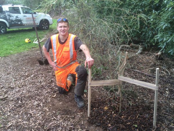 Asplundh NZ | Commercial Tree Planting Service & Advice