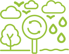 PF Olsen - Our FSC certified forests