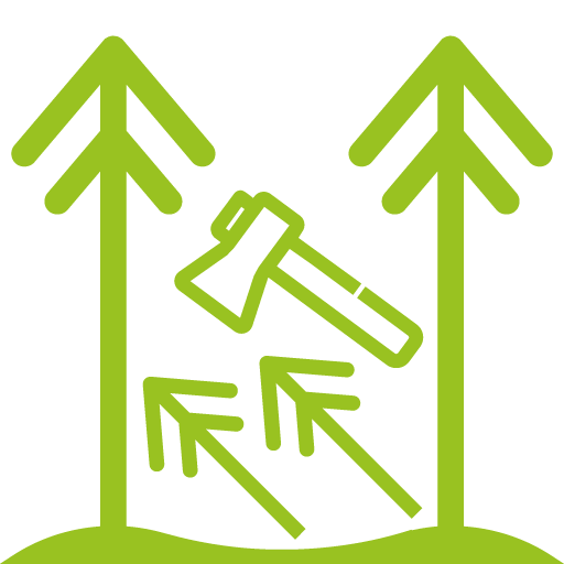 PF Olsen - Our certified forests