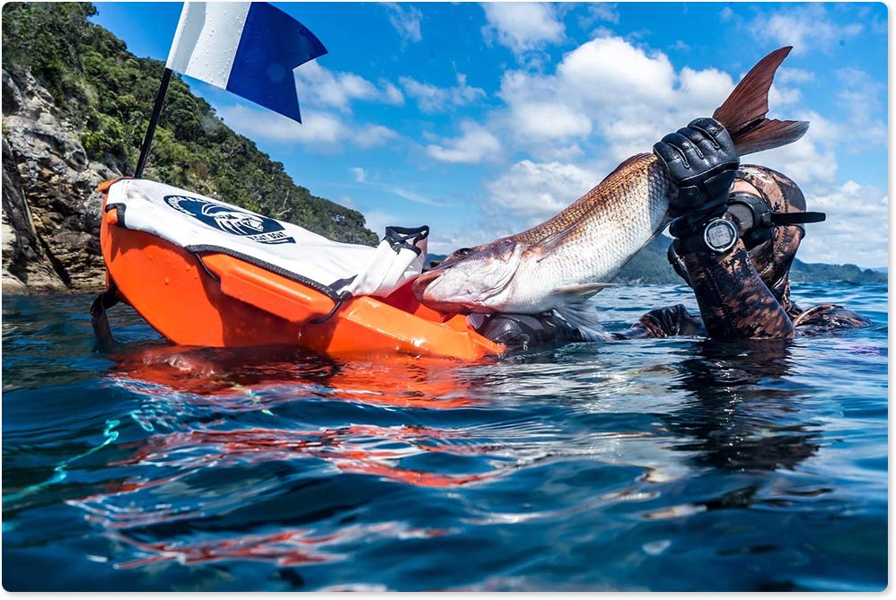 Shipping | Ocean Hunter