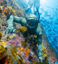 Home | Spearfishing & Freediving Specialists NZ