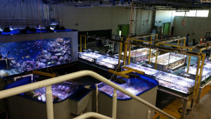 AIMS - SeaSim Project